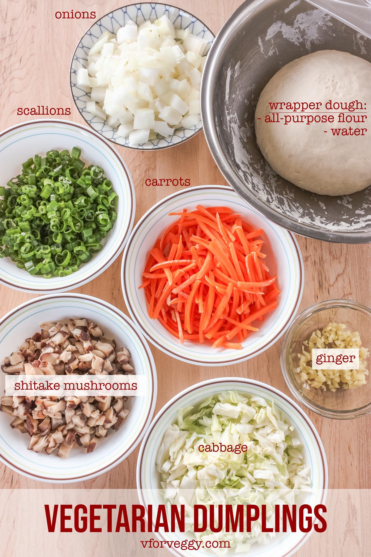 Vegetarian Dumplings V For Veggy